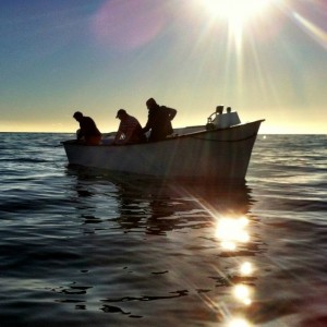 Films For Foodies at Planet in Focus - Planet In FocusPlanet In Focus